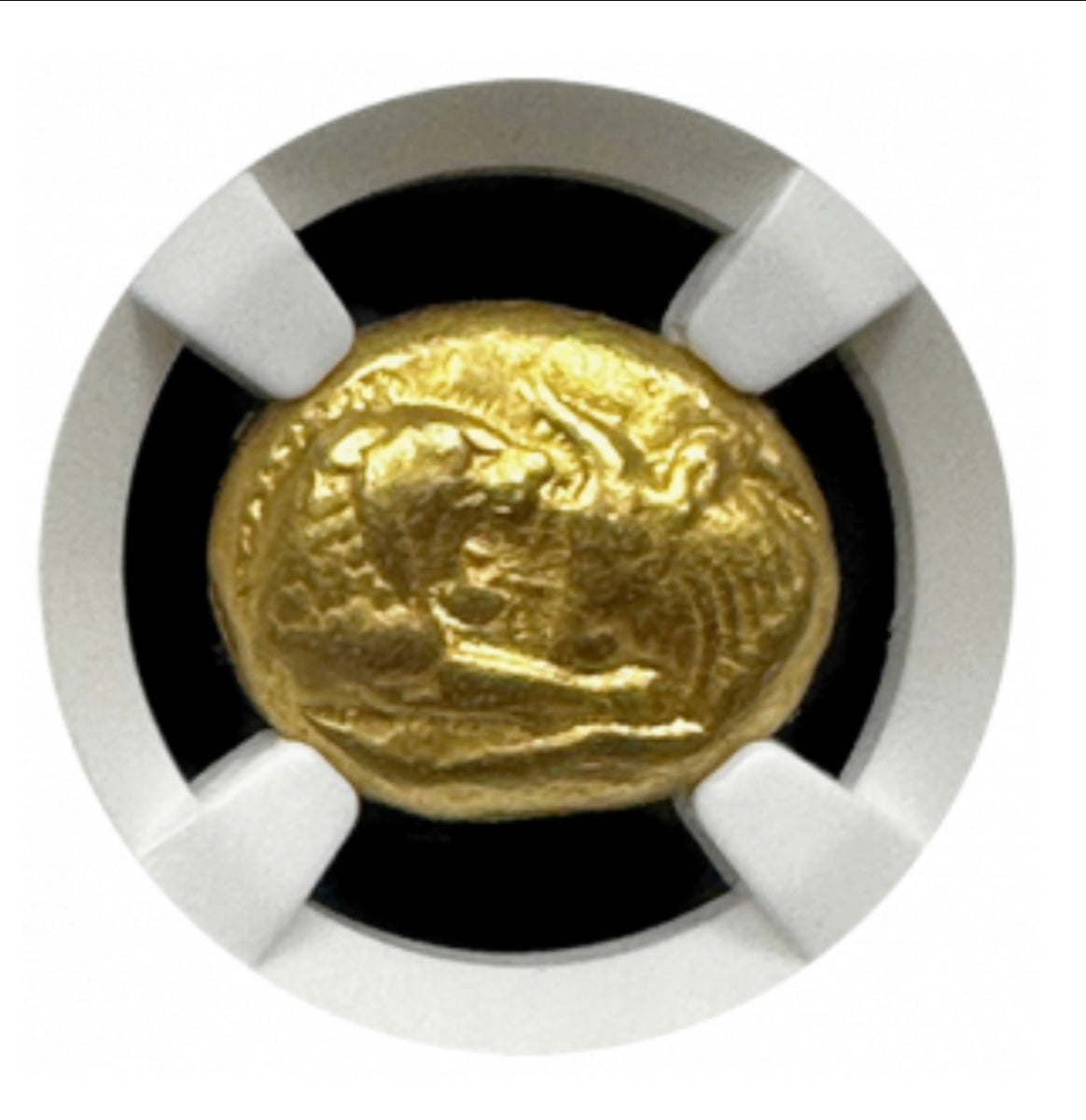 Croesus Gold Heavy Stater 561-546 BC NGC CHVF - World's First Gold Coin ...
